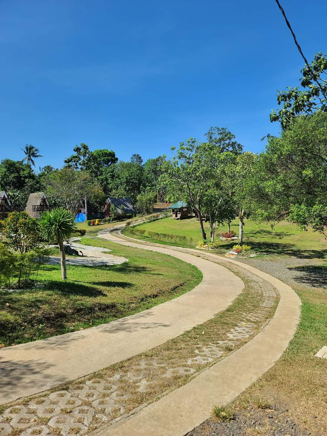 Exploring the Charm of Osaka Farm: A Touch of Japan in Cavite - Cavite News