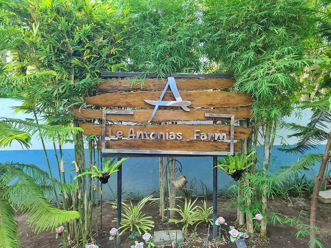 Le Antonia's Farm: A Tranquil Glamping Retreat with Breathtaking ...